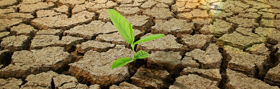 Climate change risk - ASFA