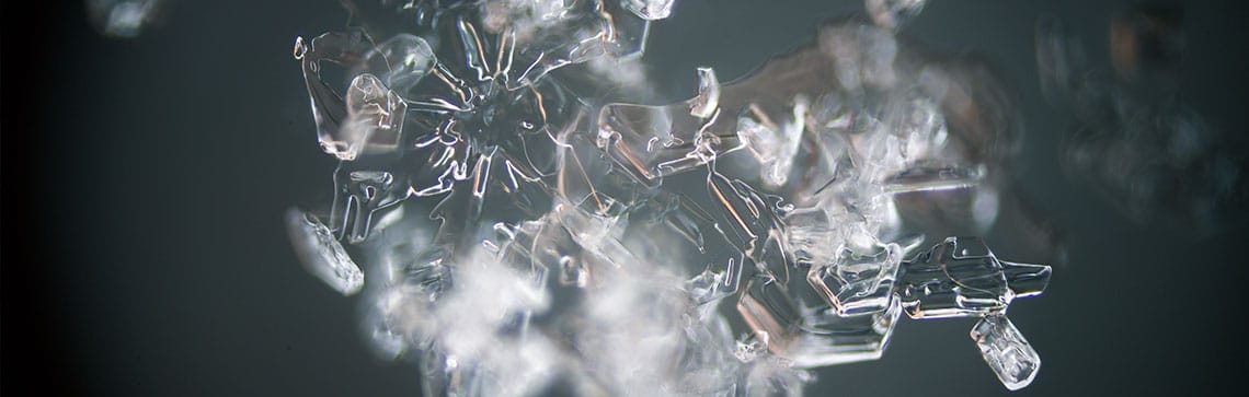 Under the microscope - ASFA
