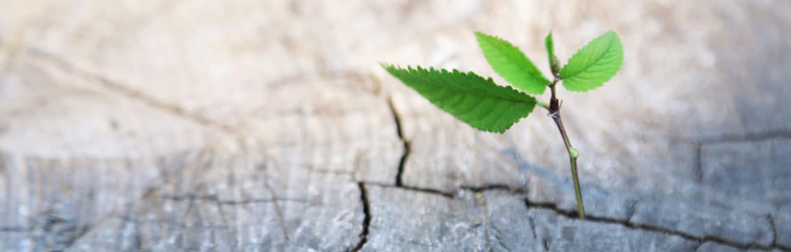 Finding growth in a low-growth world - ASFA